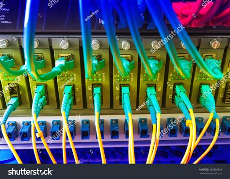 광 포트 및 이더넷 포트에 연결된 스톡 사진 290826938 Shutterstock