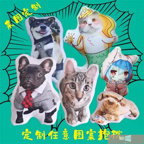 【客製化】【抱枕】寵物異形 Diy訂製 抱枕 3d照片 來圖定做 紀念貓咪狗仿真 創意禮品 公仔 蝦皮購物