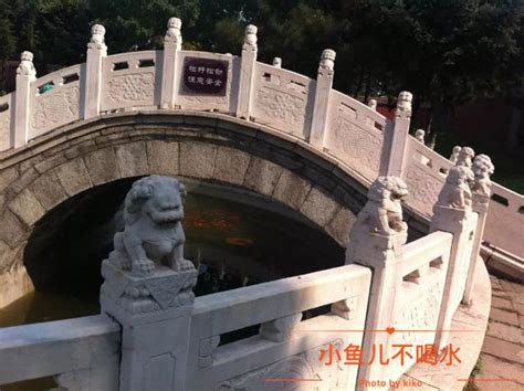 攝影 知識就是力量 每日頭條