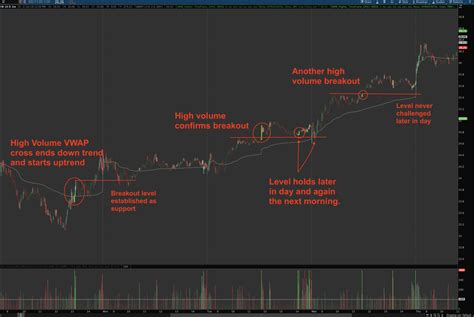 Putcall Ratio Indicator Study With Alerts For Thinkorswim