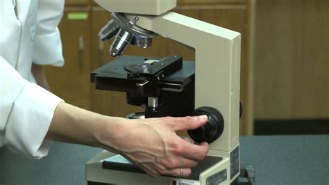 Human Physiology And Anatomy Compound Microscope Youtube