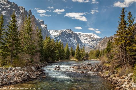Rosebud River