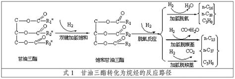Method For Hydroprocessing Of Renewable Raw Materials Eureka