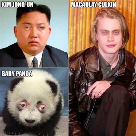 Everyone Looks Better With Steve Buscemi Eyes