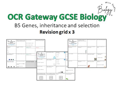 Ocr Gateway Biology Gcse Revision Grid B5 Genes Inheritance And