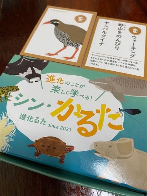 上原渚みんなの進化展 ネーネーズ便りⅡ