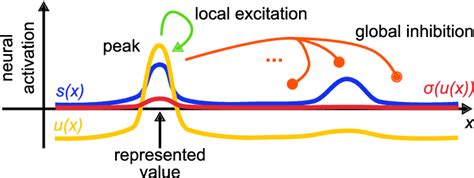 Dynamic Neural Field Download Scientific Diagram