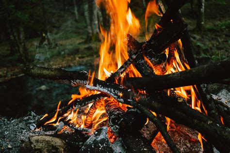 Campfire With Logs At The Sides In The Woods At Night Photos Download