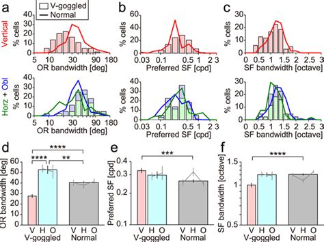 Orientation And Spatial Frequency Tuning Of Single Neurons The Download Scientific Diagram