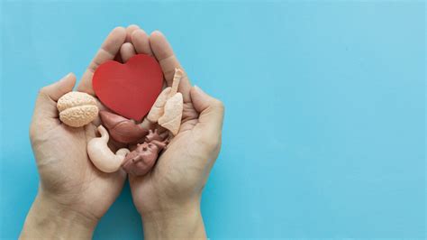 Първа донорска ситуация за 2025 г двама души получиха шанс за живот Nova