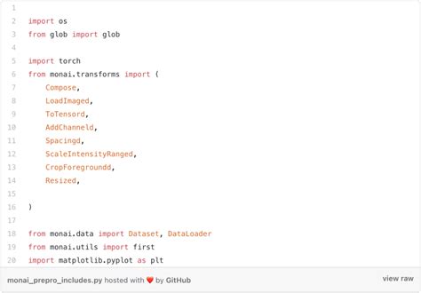 preprocessing 3d volumes for tumor segmentation using monai and pytorch