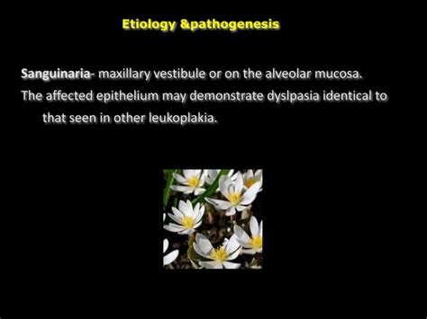 Leukoplakia Pptx Dental Health Diseases And Conditions