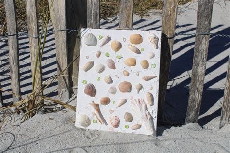 Seashell Canvas Etsy