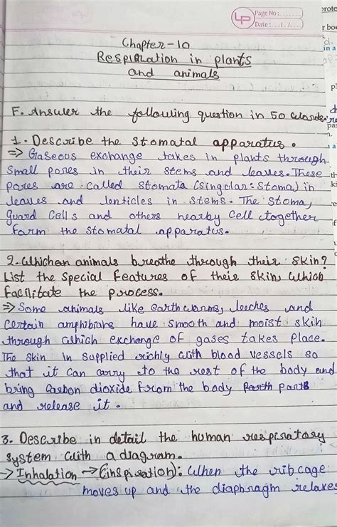 Ch 10 Science Notes Teachmint