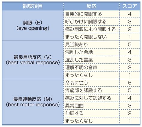 視診 ししん Japanese English Dictionary JapaneseClass jp