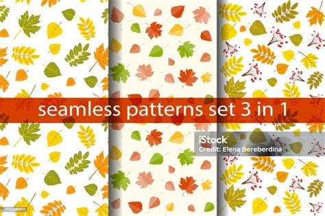 여러 가지 빛깔의 가을 잎사귀 매끄러운 패턴 가을 단풍나무와 자작나무 잎 세트 흰색 바탕에 마가목나무 10월에 대한 스톡 벡터 아트 및 기타 이미지 Istock