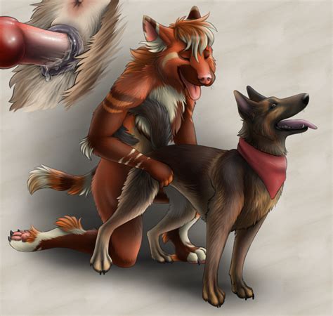 Rule 34 Animal Genitalia Animal Penis Animal Pussy Anthro Anthro On Feral Anthro Penetrating