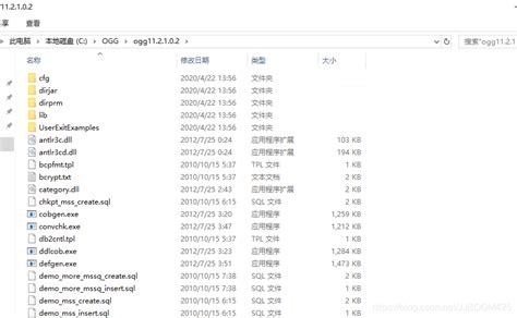 Oracle Golden Gateogg学习——源端安装ogg （数据库版本为oracle 10g） Csdn博客