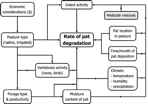 Simplified Flow Chart Illustrating The Interaction Of Abiotic And