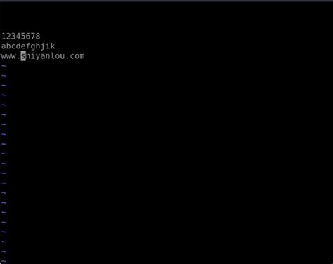 实验二 Linux下c语言编程基础 Csdn博客 实验二 Linux下c语言编程基础 Csdn博客
