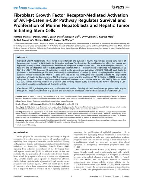 Pdf Fibroblast Growth Factor Receptor Mediated Activation Of Akt β Catenin Cbp Pathway