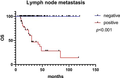 The Survival Curves According To Lymph Node Metastasis Download