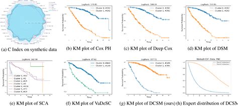 Deep Clustering Survival Machines With Interpretable Expert
