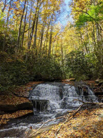 Style Transfer In Pytorch Alex Mcdaniel