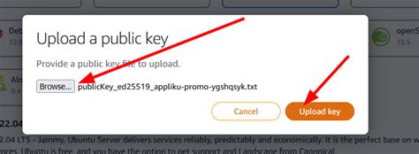 Deploy Django To Lightsail