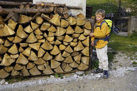 Bored Pile Stock Pictures Editorial Images And Stock Photos Shutterstock