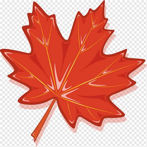 볼륨있는 가을 붉은 색 메이플 리프 Png Pngwing