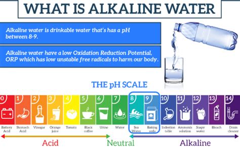 Alkaline Water Benefits Risks And How To Make Them Infographic