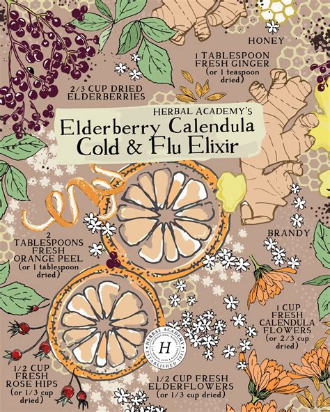 Elderberry Calendula Cold And Flu Elixir Herbalism Herbal Medicine