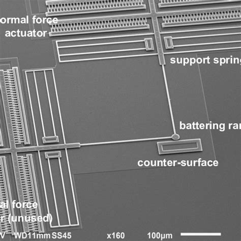 Sem Micrograph Of The Mems Tribometer We Only Used The Normal
