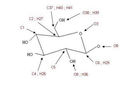 1 Representation Of A Monosaccharide With Atom Labels Atom Names Download Scientific Diagram