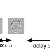 Schematic Of The Visual Working Memory Paradigm Download Scientific Diagram
