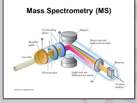 Mass Spectrometry And Ionization Techniques