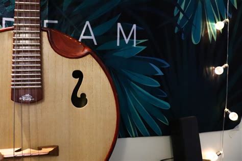 Chinese Zhong Ruan Hobbies And Toys Music And Media Musical Instruments On Carousell