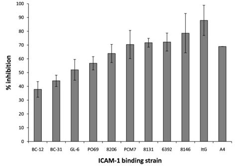 screening of egcg against new icam 1 binding patient isolates of p