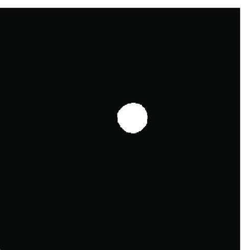 Filtered Binary Image Download Scientific Diagram