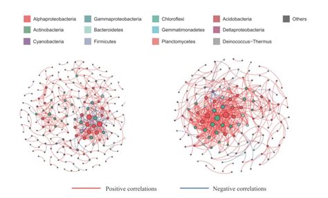 Bacterial Co Occurrence Networks For The Surface And Subsurface Layers