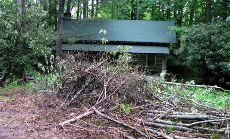 Mandatory Landscapevegetation Modification Requirements Undo Sb 762