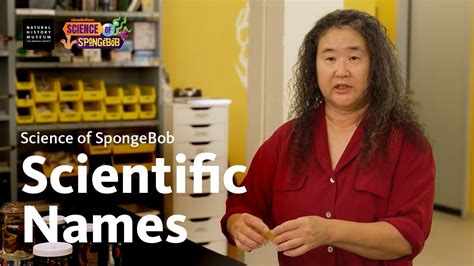 Patrick Stars Science Stupidity Thats Surprisingly Smart