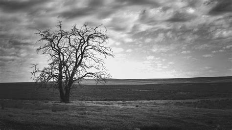 100000 Foto Cewektelanjangbulat Terbaik · Unduh Gratis 100 · Foto