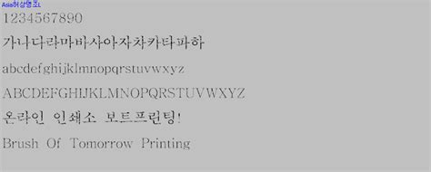 보트프린팅의 서체 이미지 자료 Asia허상명조L 서 체 이 미 지 B O T 프린팅