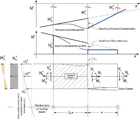 Schematics Showing The Relative Axial Deformations And Cross Sectional