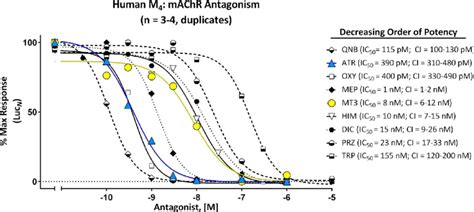Inhibitory Potencies Of Various Machr Antagonists At The Human M 4 Download Scientific Diagram