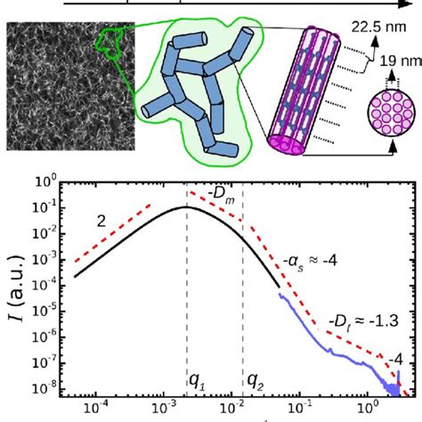 Model To Distinguish Between Network And Fiber Structural Features In Download Scientific
