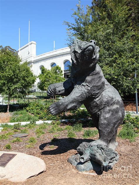 Berkeley Bear Statue