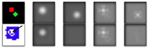 Effects Of Attentional Selection On Colored Shape Stimuli See Text For Download Scientific